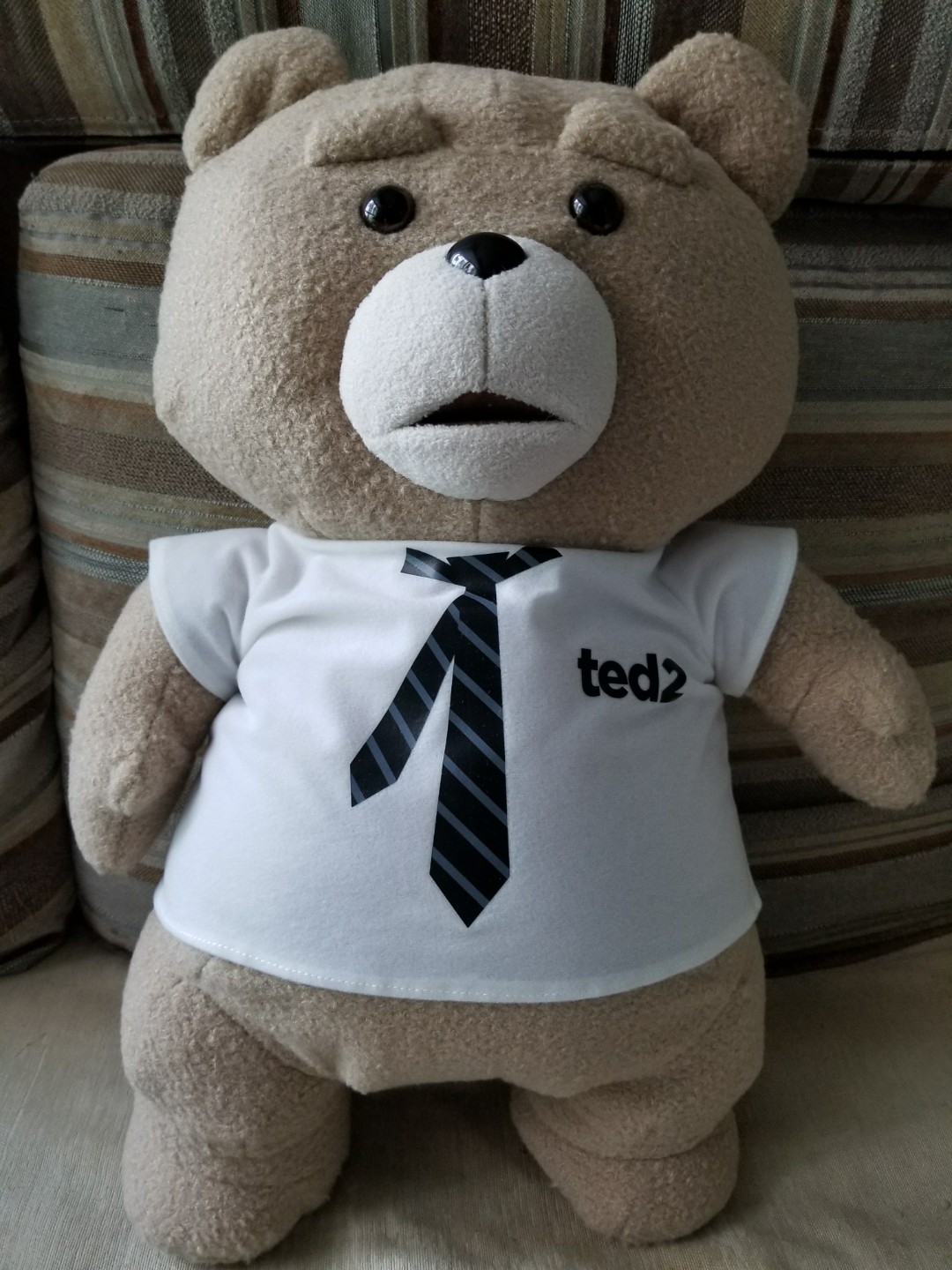 日本直送全新賤熊XL Ted2 55cm, 興趣及遊戲, 玩具 & 遊戲類 - Carousell