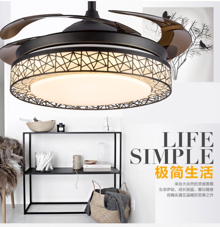 Hidden Ceiling Fan Blades | Shelly Lighting