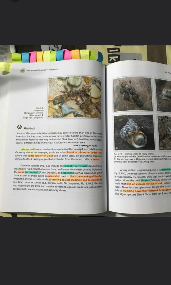 GES1021 Textbook, Hobbies & Toys, Books & Magazines, Textbooks on Carousell