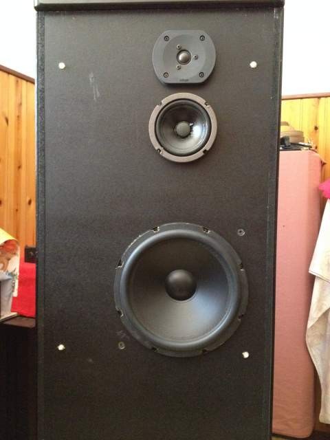 Mirage m3 bipolar speakers wiring