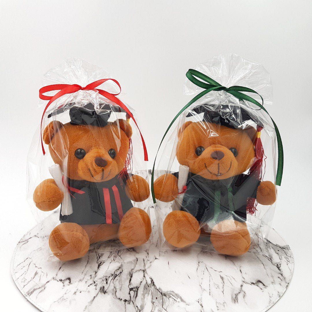 Customised Graduation Bear, Hobbies & Toys, Toys & Games on Carousell