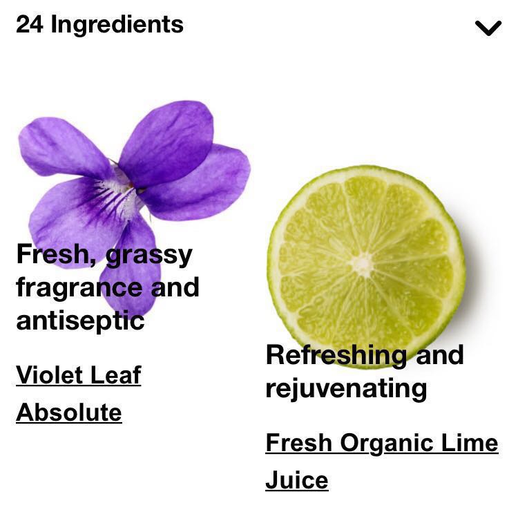 LUSH DADDY O PURPLE SHAMPOO 100G (TRAVEL-FRIENDLY SIZE) AND/OR 500G ...