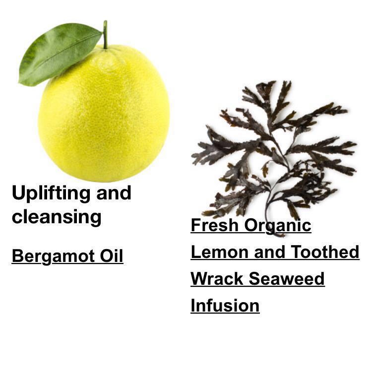 LUSH DADDY O PURPLE SHAMPOO 100G (TRAVEL-FRIENDLY SIZE) AND/OR 500G ...