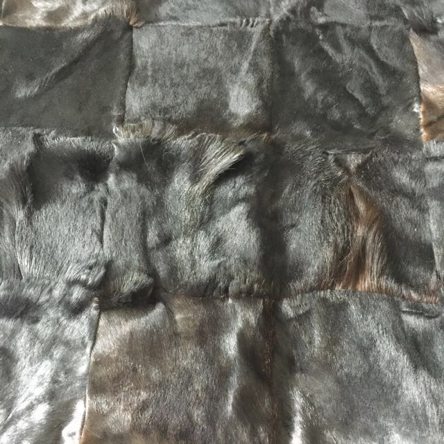 Springbok Carpet From South Africa, Furniture & Home Living, Home Decor ...