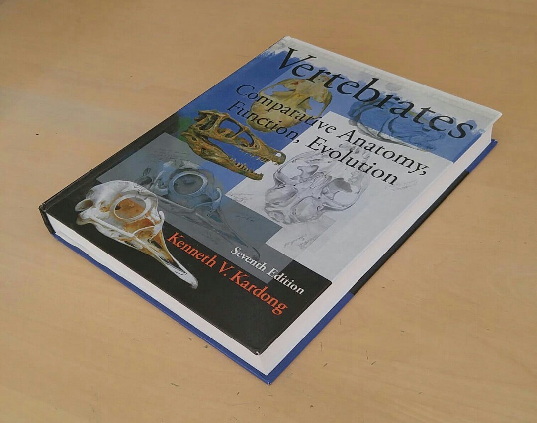 comparative anatomy function evolution