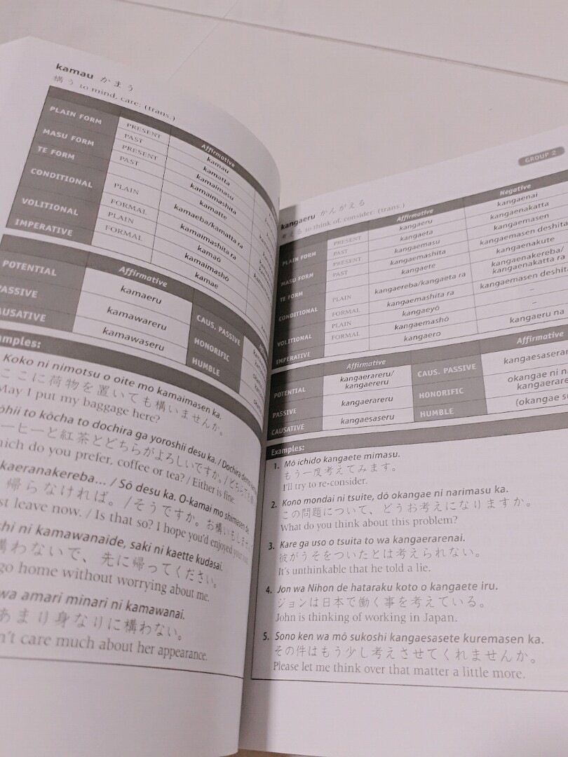 600 Basic Japanese Verbs Book, Hobbies & Toys, Books & Magazines ...