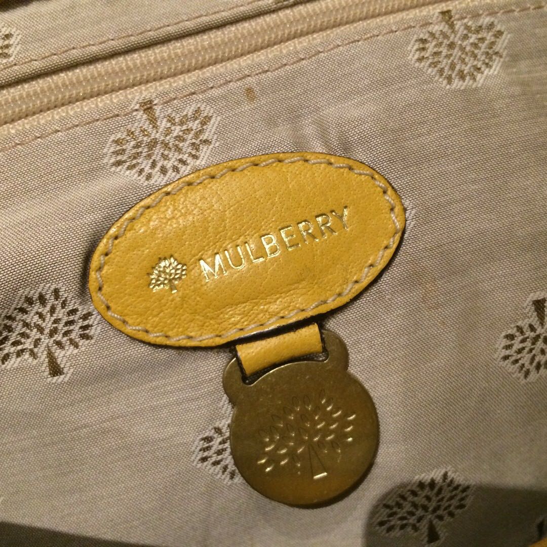 Mulberry Small Alexa (rare colour), Luxury, Bags & Wallets on Carousell