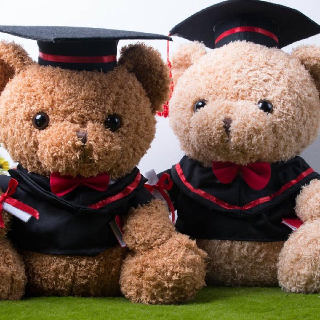 Graduation Bear-Doraemon Graduation Bear, Hobbies & Toys, Toys & Games ...
