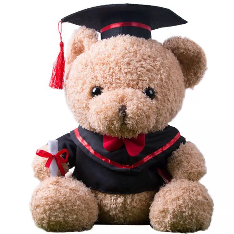 Graduation Bear-Doraemon Graduation Bear, Hobbies & Toys, Toys & Games ...