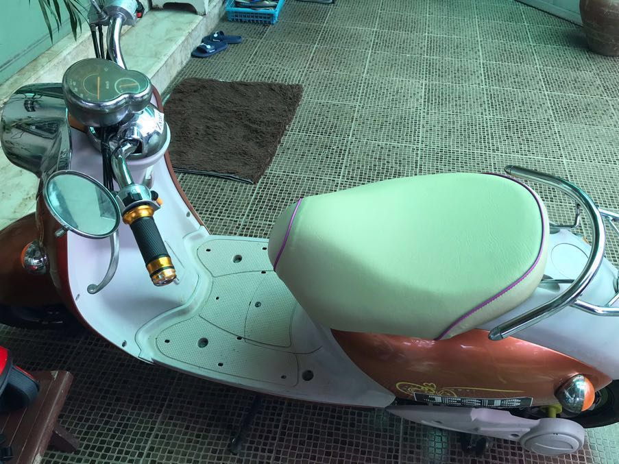 Racal electric bike, Motorbikes on Carousell