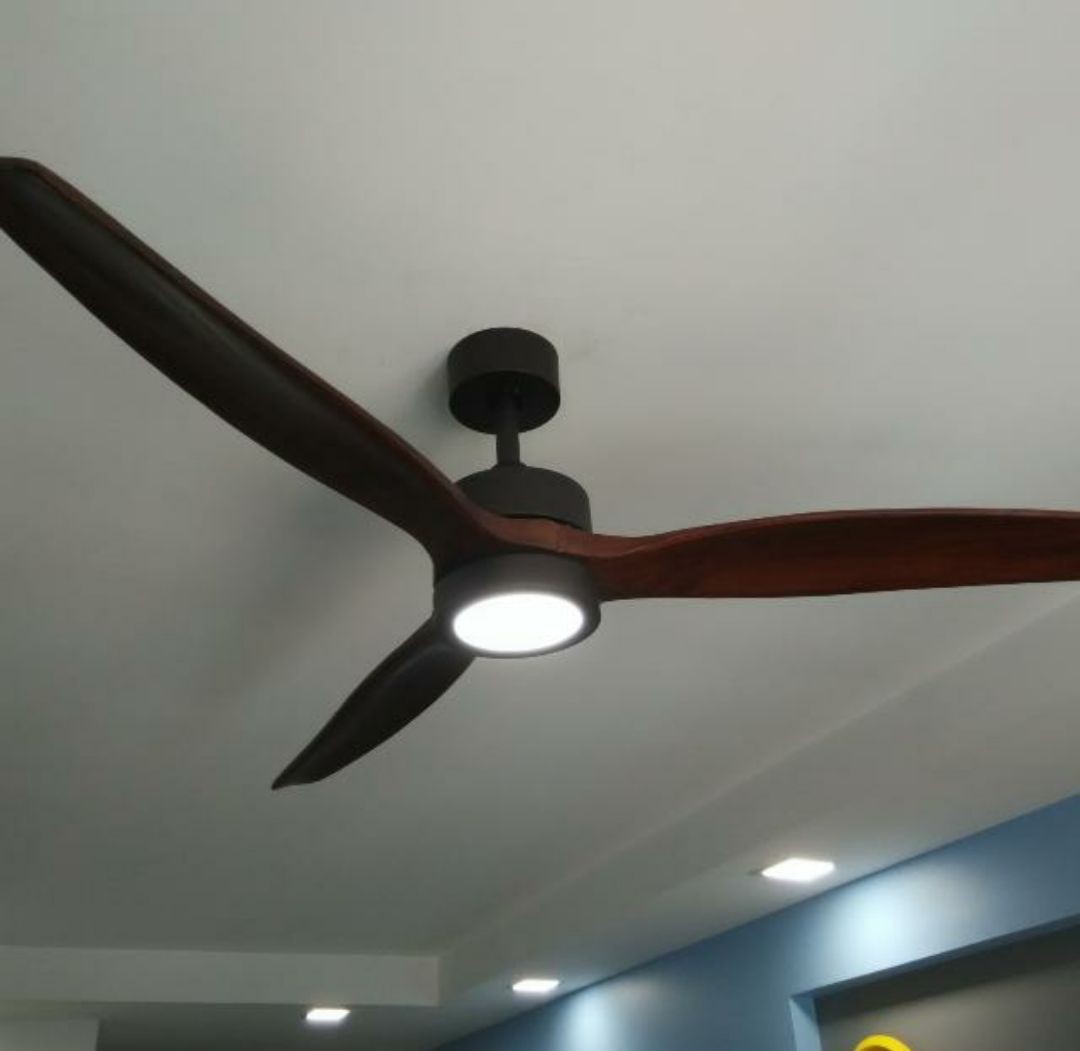 Ceiling Fan DC Motor Designer Model, Furniture & Home Living, Lighting ...