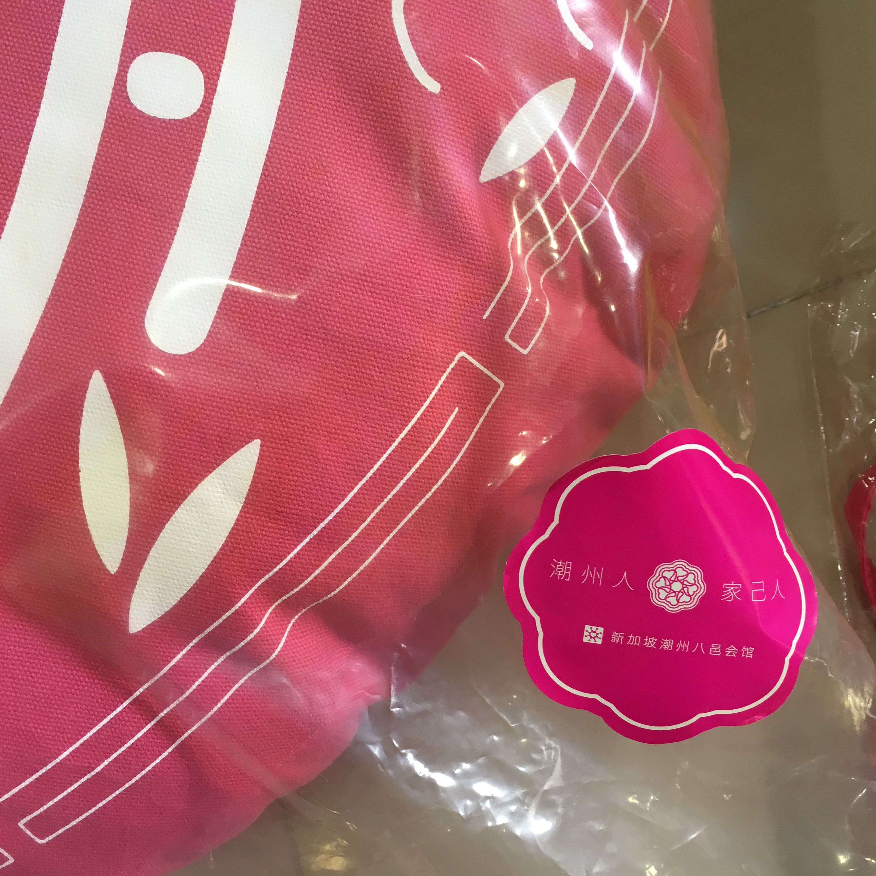 MISB Teochew Teo Chew Poit Ip Huay Kuan Rice Cake Peng Kueh Cushion and ...