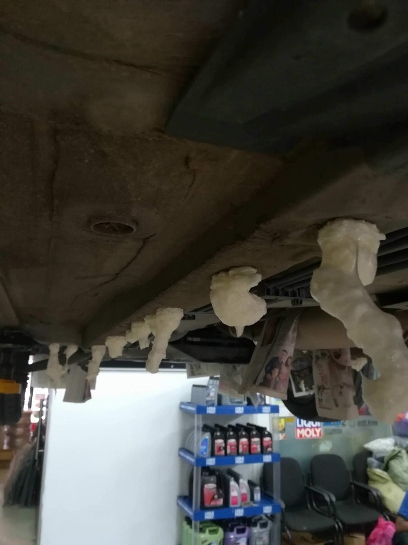 RigidPlus+ Korea Chassis Foaming High Density, Auto Accessories on ...