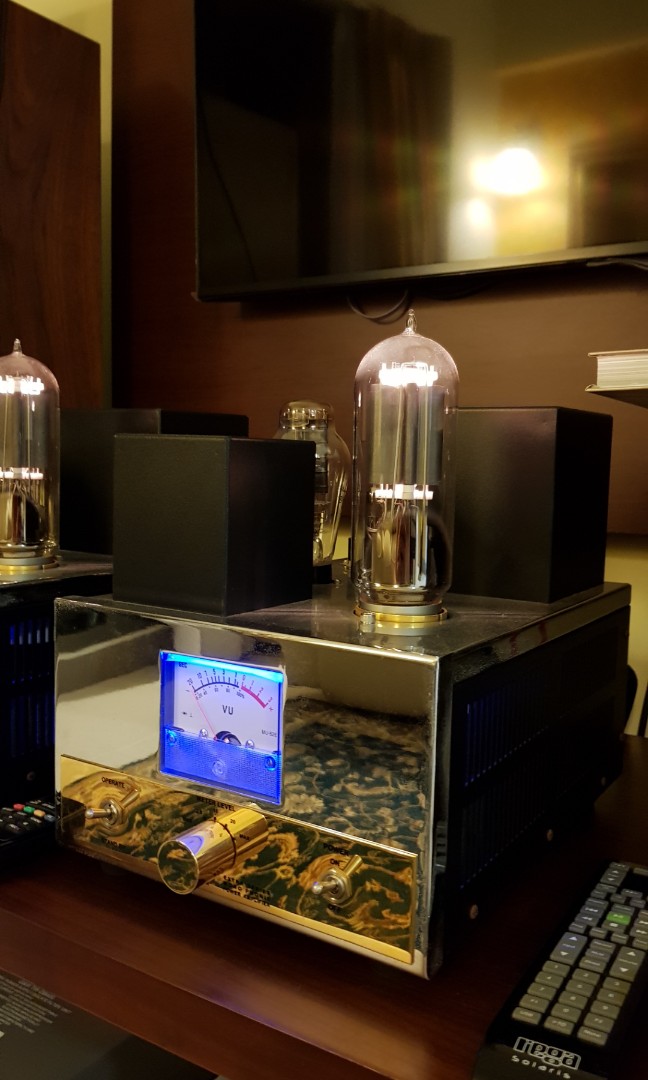TS audio 211 monoblock power amplifier, Audio, Other Audio Equipment on ...