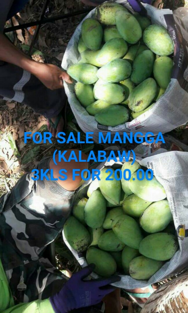 Mangga (kalabaw), Food & Drinks, Packaged & Instant Food on Carousell
