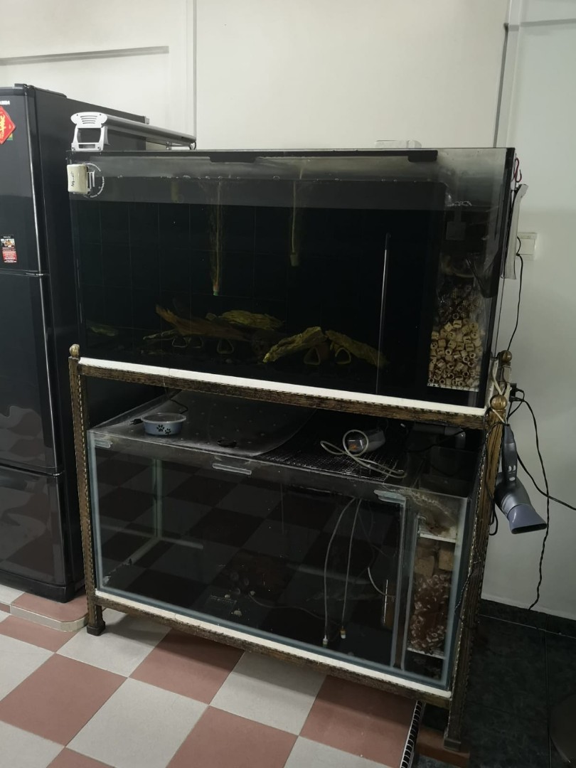 2 tier 4x2x2 IOS tank set with custom wrought iron stand, Pet Supplies ...