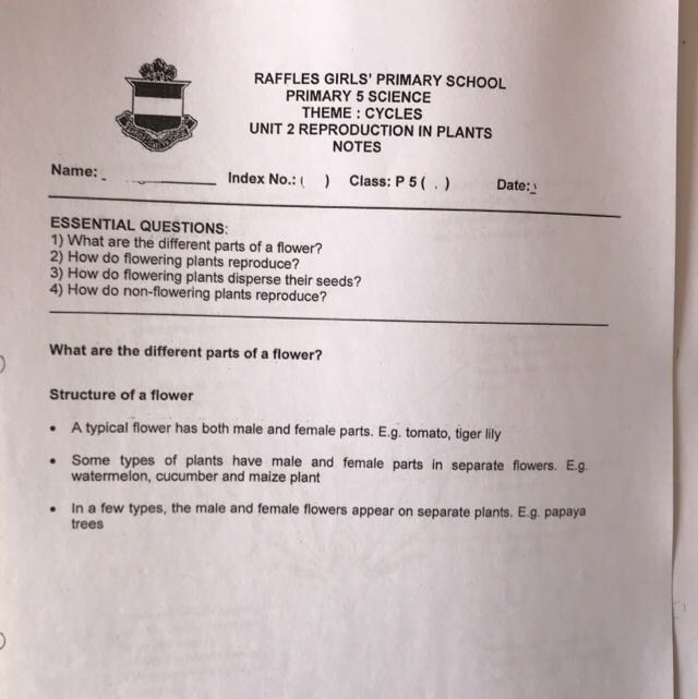 RGPS P5&6 Science Notes, Hobbies & Toys, Books & Magazines, Assessment ...