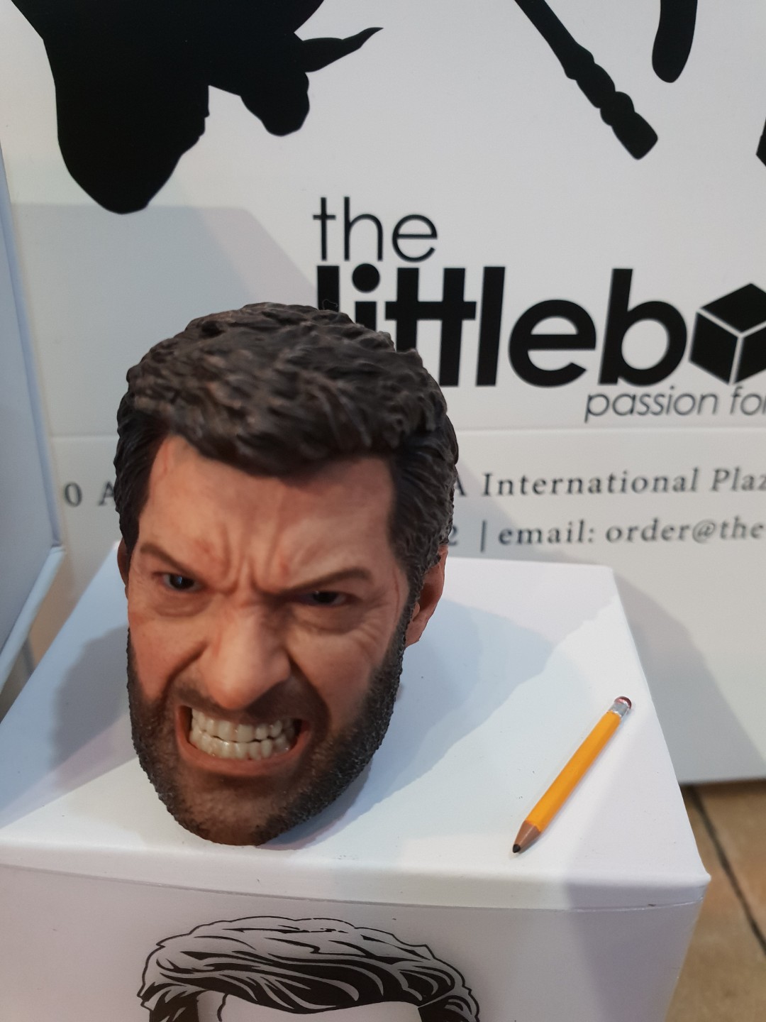 IN STOCK NOW! 1/6 Scale Angry Logan Head Sculpt by Eleven, Hobbies ...