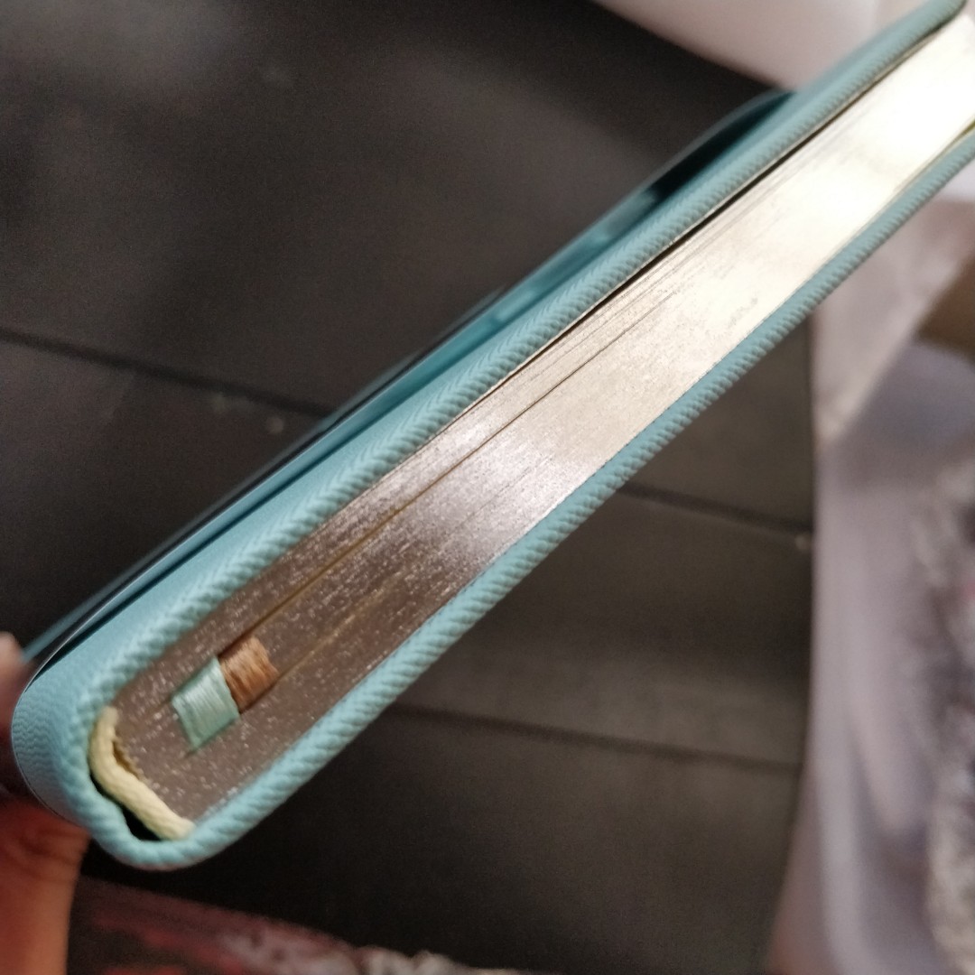 Victoria's Journals light blue tote journal (Free shipping), Hobbies ...