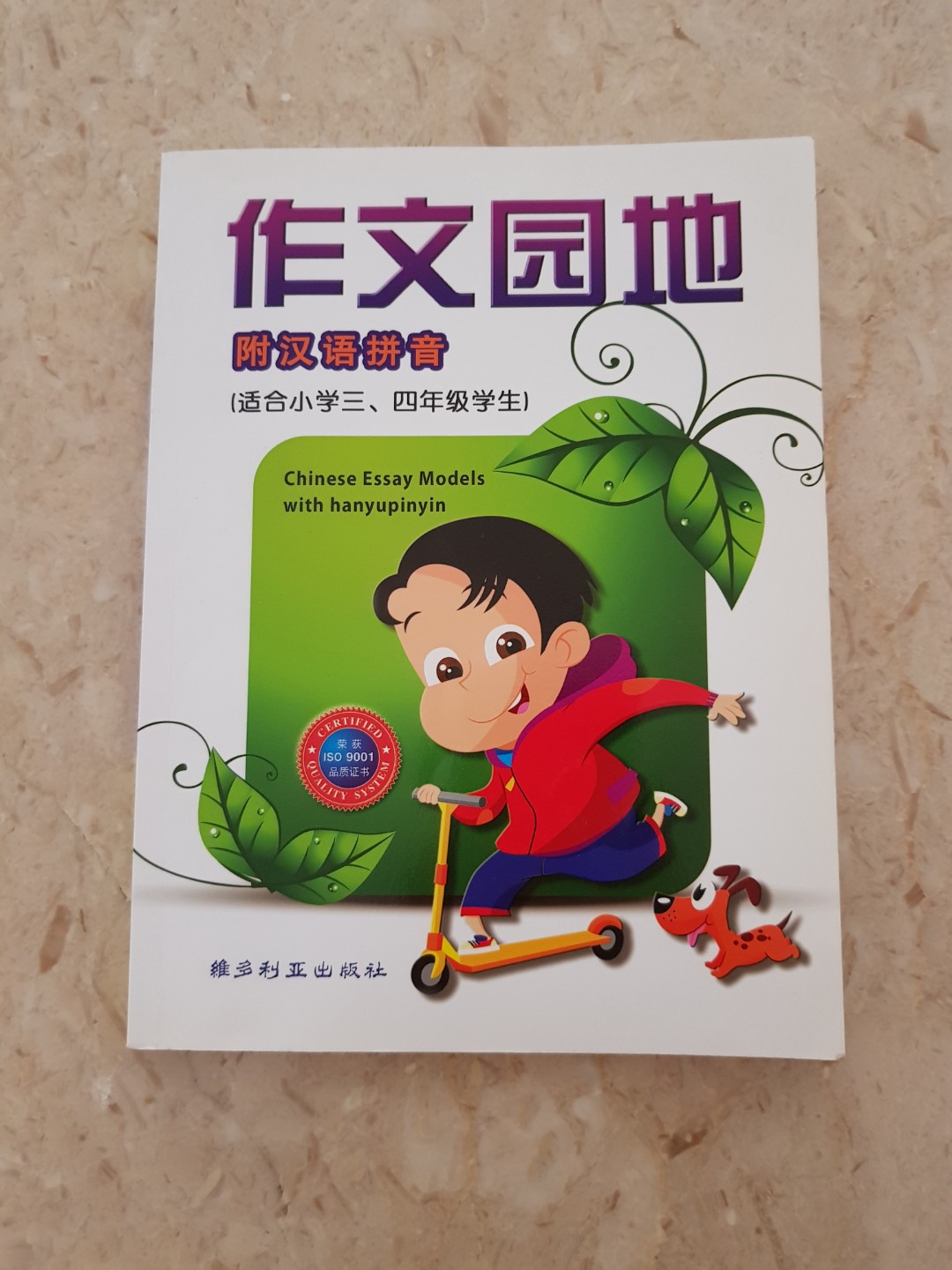 Chinese composition essay models with hanyupinyin suitable for primary ...