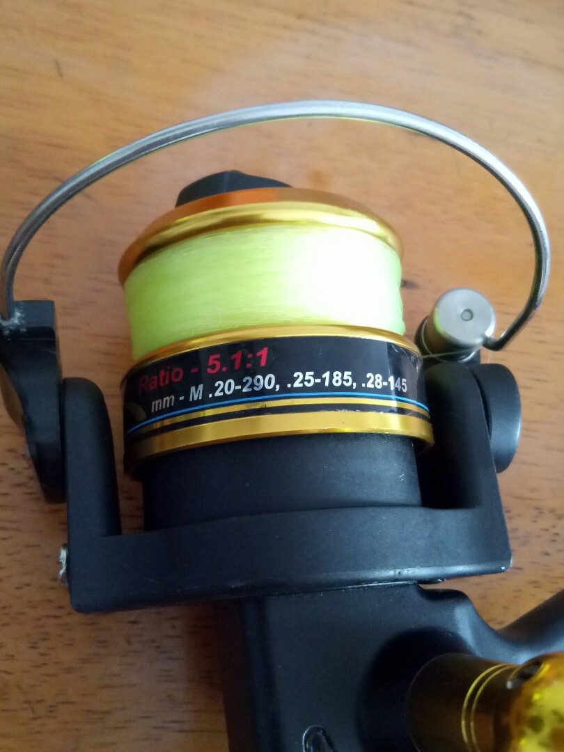 Penn 430ssg fishing reel, Everything Else on Carousell