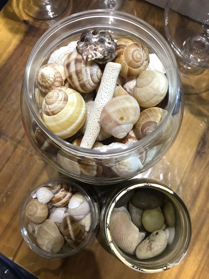 Shells and pebbles, Everything Else on Carousell
