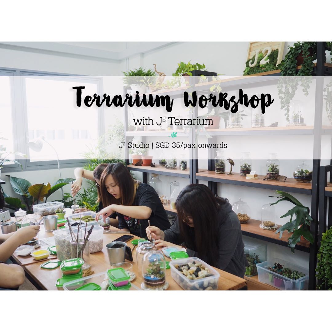 Terrarium workshop with J2, Learning & Enrichment, Workshops on Carousell