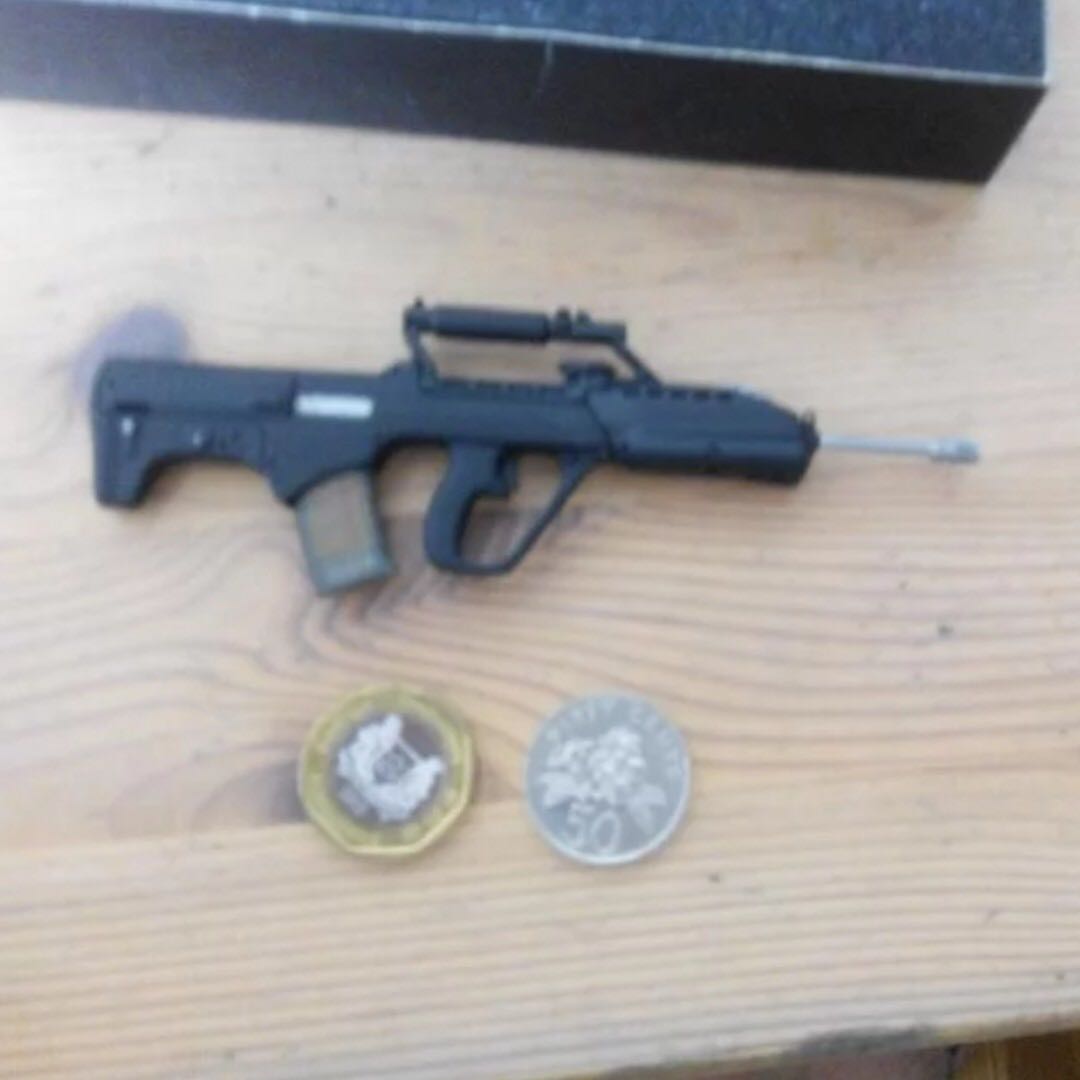 SAR 21 Rifle Collectible, Hobbies & Toys, Toys & Games on Carousell