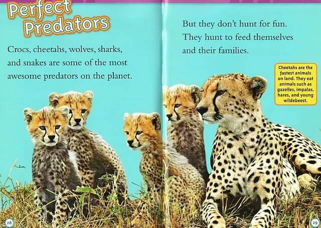 National Geographic kids level 2, Hobbies & Toys, Books & Magazines ...