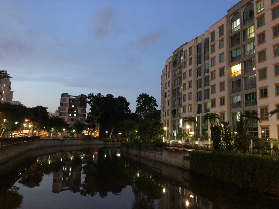 The Sunny Spring 3 bedroom + Maid's Room, Property, Rentals, Condos ...