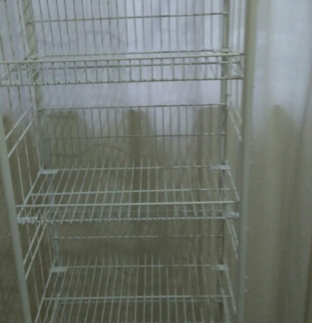 ALL PURPOSE RACK, TV & Home Appliances, Kitchen Appliances, Other ...