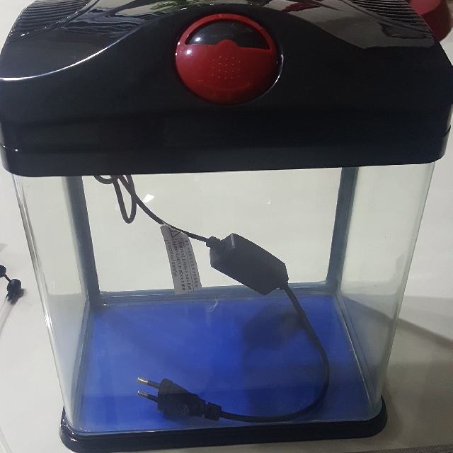 All-In-One New Fish Tank Setup, Pet Supplies, Homes & Other Pet ...