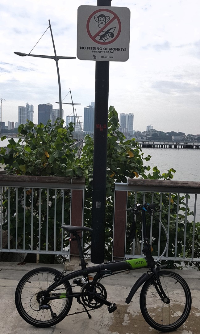 Tern D16, Sports Equipment, Bicycles & Parts, Bicycles on Carousell