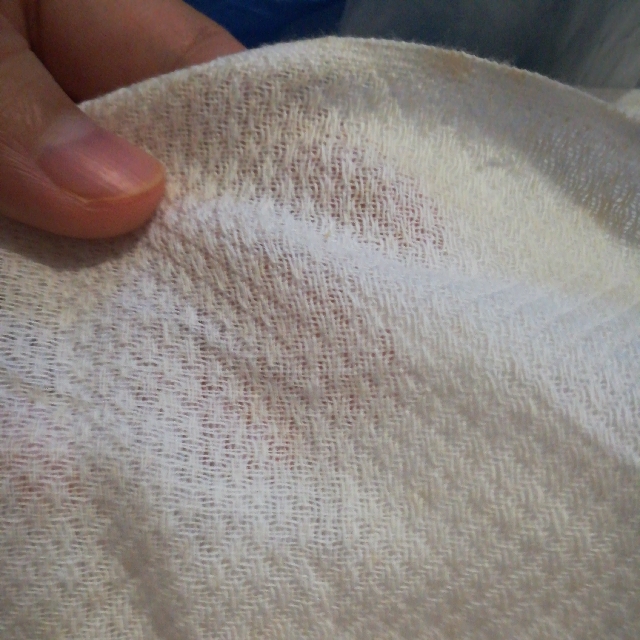 JAPAN LAMPIN / Cloth Diaper, Babies & Kids, Bathing & Changing, Diapers ...