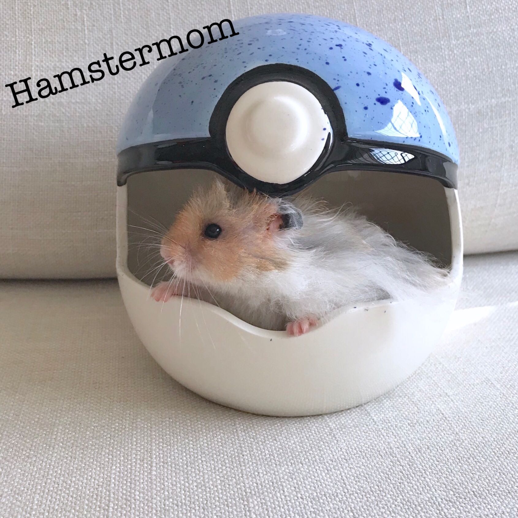 Hamster Blue Pokeball Ceramic Hideout House Toy, Pet Supplies, Homes ...
