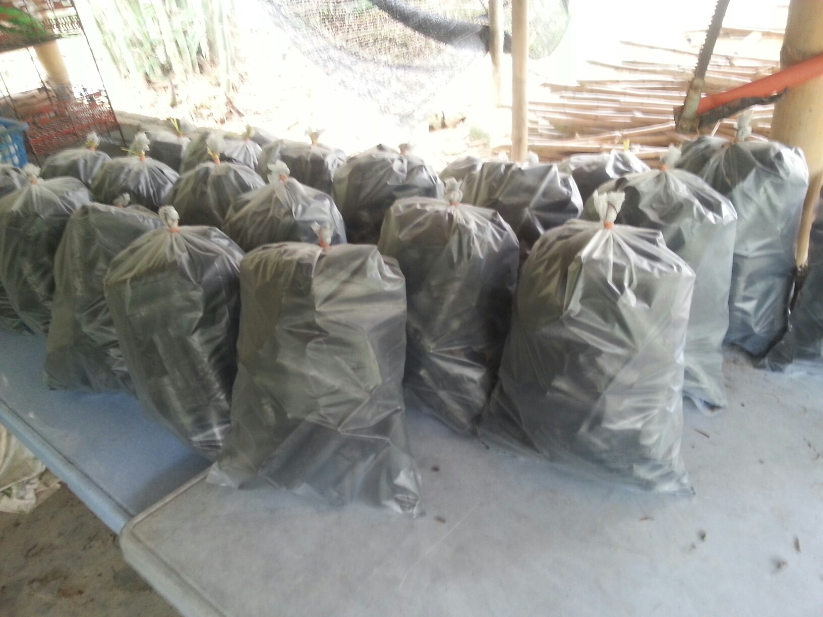 Arang Buluh Madu, Furniture & Home Living, Kitchenware & Tableware ...