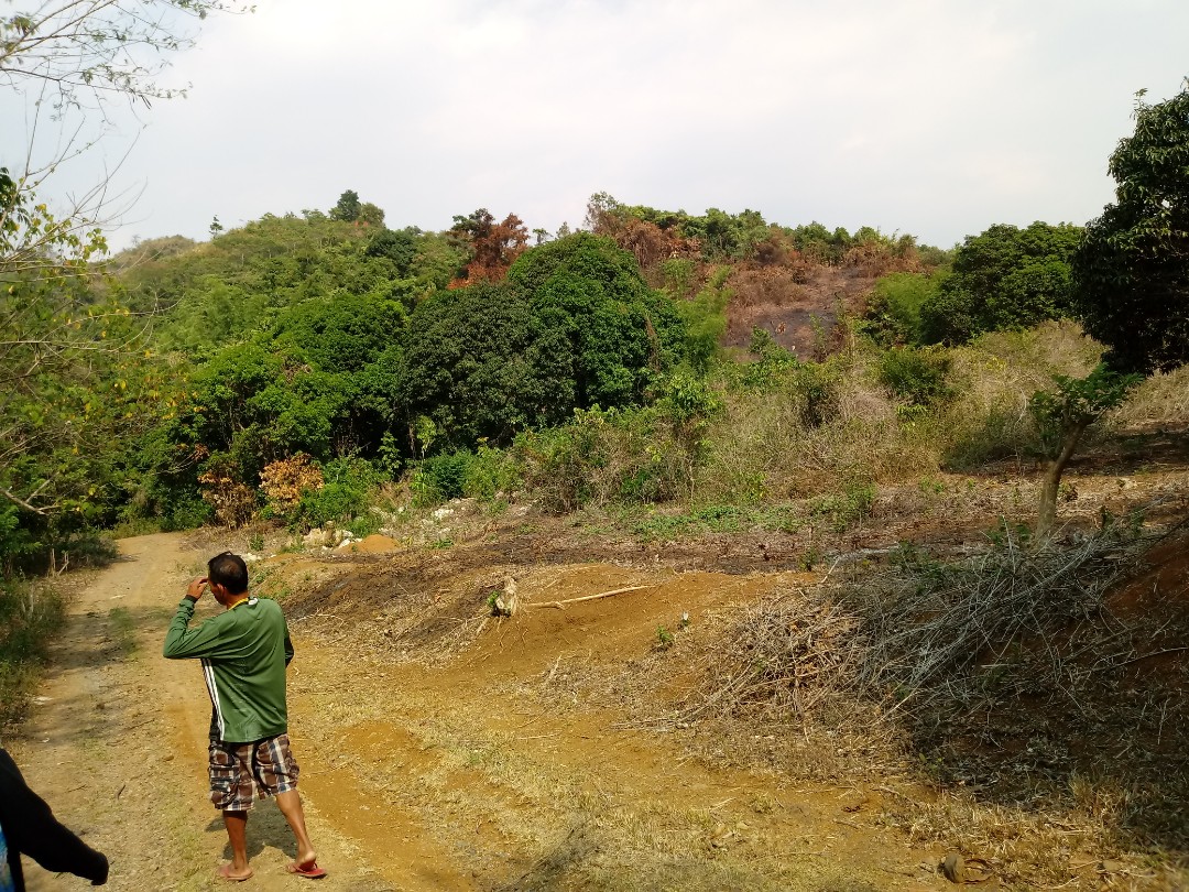 Farm lot or for sale tanay rizal, Property, For Sale on Carousell