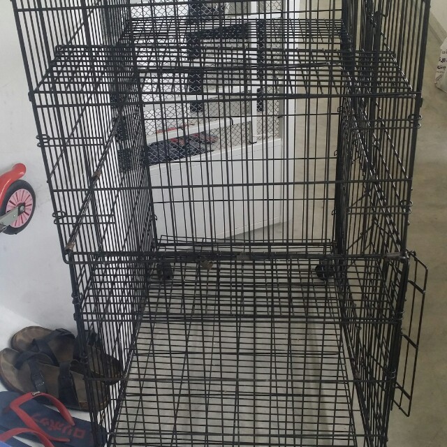 3 tier Cage, Pet Supplies, Homes & Other Pet Accessories on Carousell