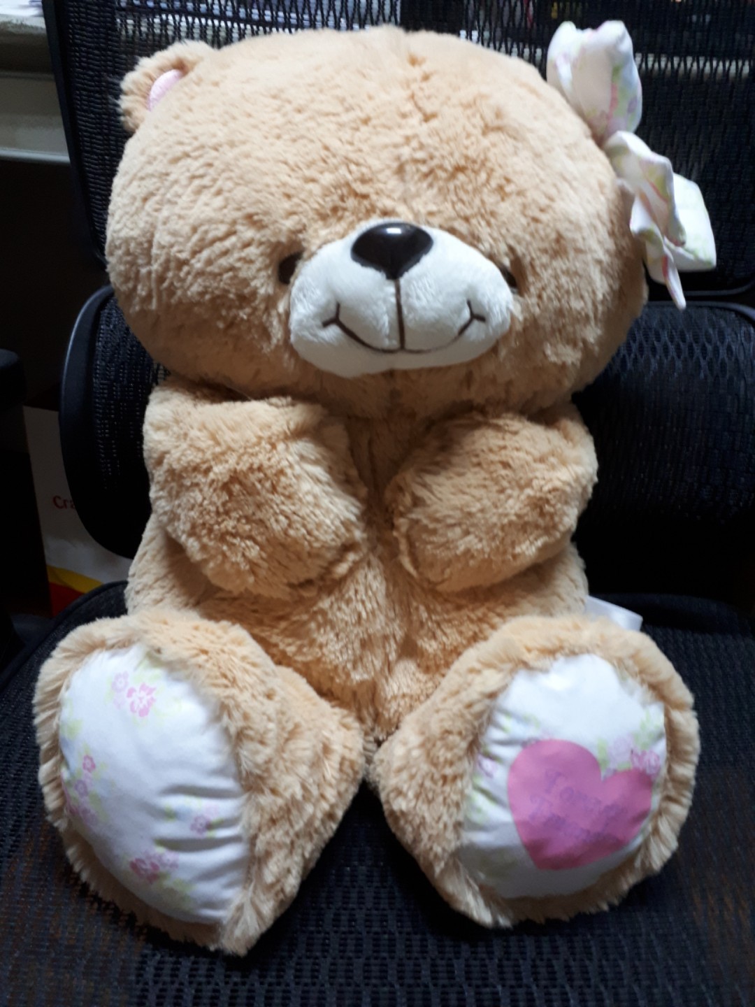 Forever friends bear (large), Hobbies & Toys, Toys & Games on Carousell