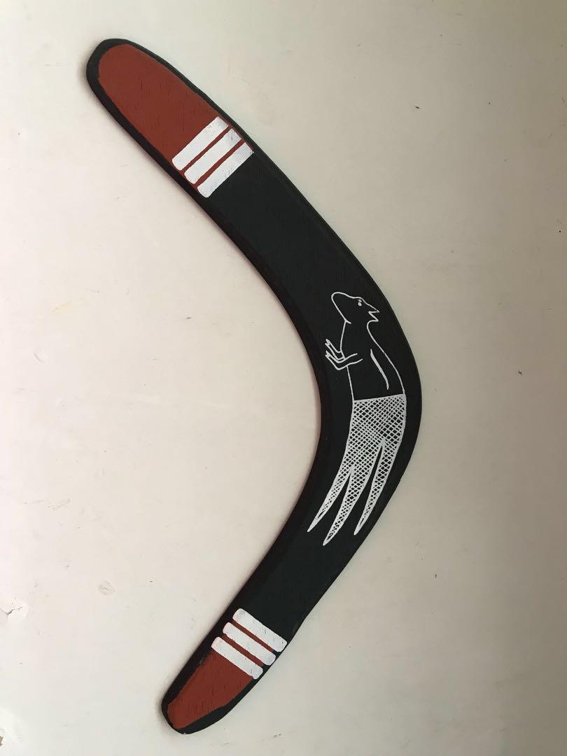 Boomerang, Sports Equipment, Fishing on Carousell