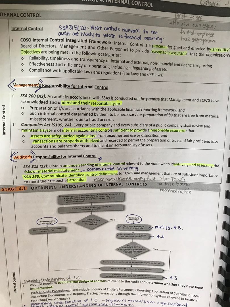 Ntu Audit Bible Softcopy Hobbies And Toys Books And Magazines Assessment Books On Carousell