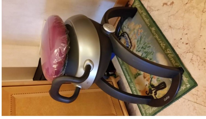 OSIM iGallop 騎馬機, 健康及營養食用品, 按摩紓緩用品 - Carousell