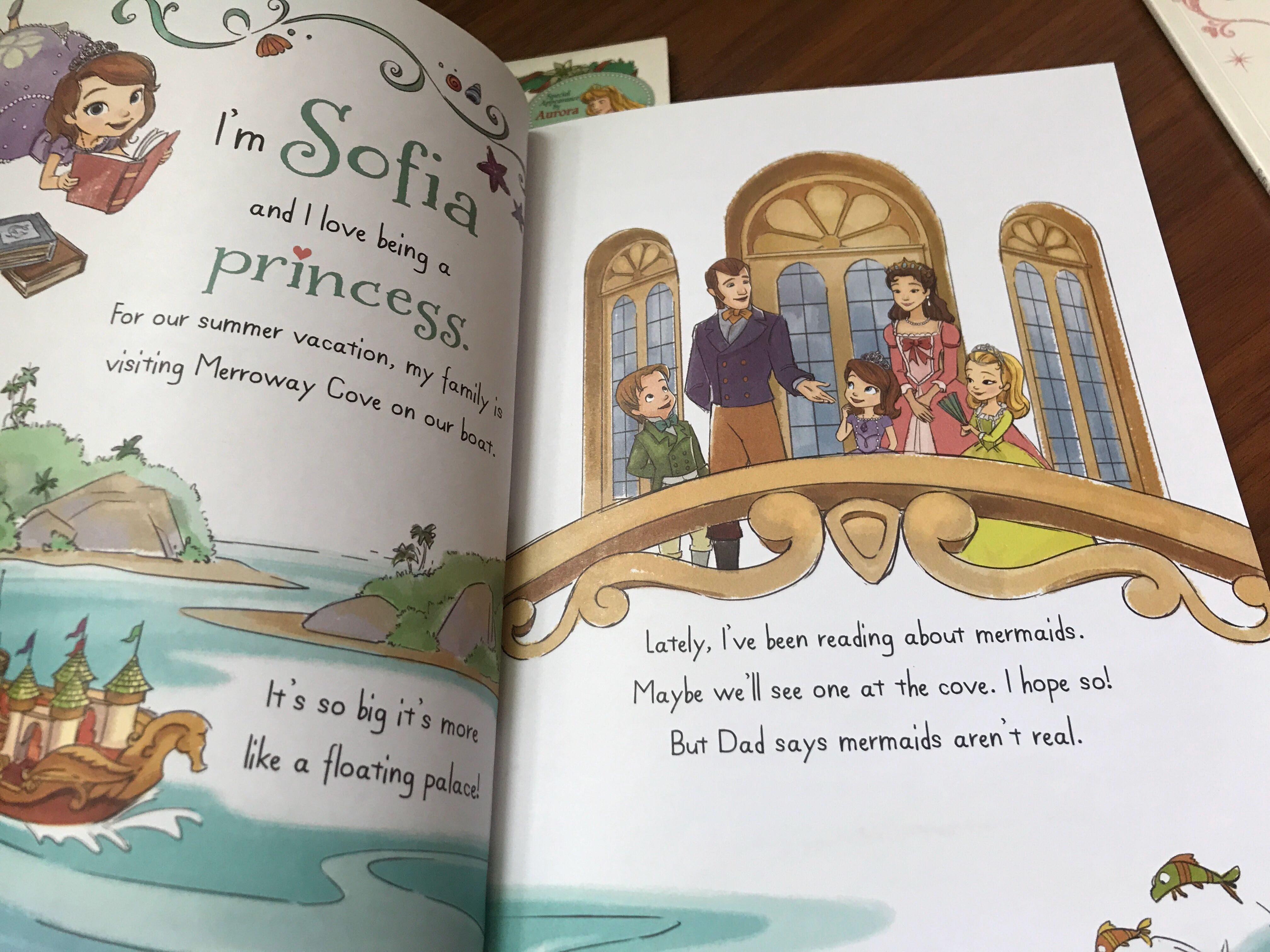 Set of 3 Sofia the First Picture Books, Hobbies & Toys, Books ...