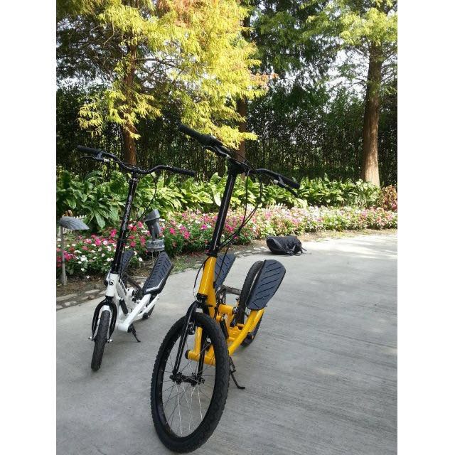 STEPWING Stepper Kick Scooter Galaxy Series - BNIB, Bicycles & PMDs, Personal Mobility Devices ...