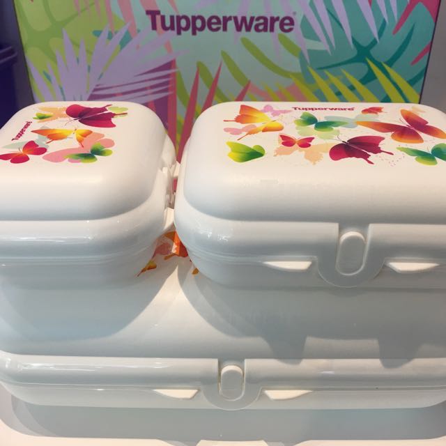 Tupperware Butterfly Oyster Case, Everything Else on Carousell