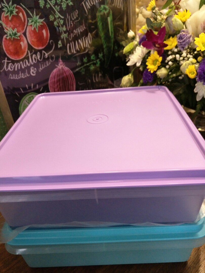 1 X Snack Stor Square Keeper, Furniture & Home Living, Kitchenware ...