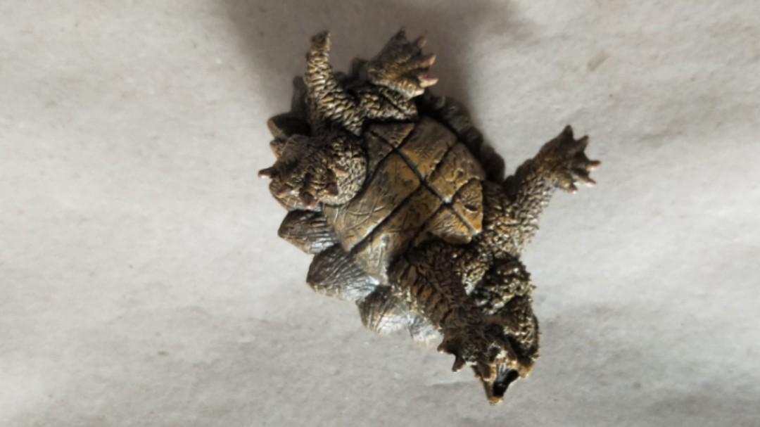 Alligator snapping turtle figurine for sale, Hobbies & Toys, Toys ...