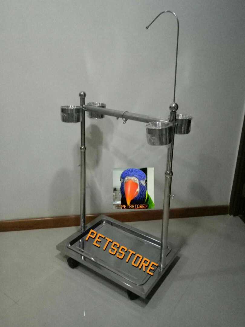 Height Adjustable Parrot Stand, Pet Supplies, Homes & Other Pet ...