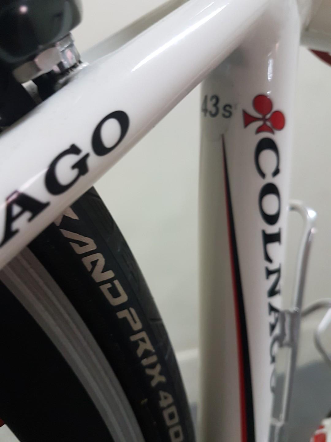 Colnago Primvera, Sports Equipment, Bicycles & Parts, Bicycles on Carousell