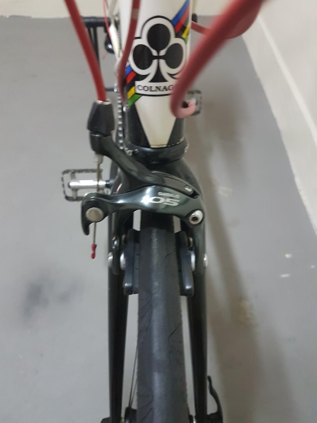 Colnago Primvera, Sports Equipment, Bicycles & Parts, Bicycles on Carousell